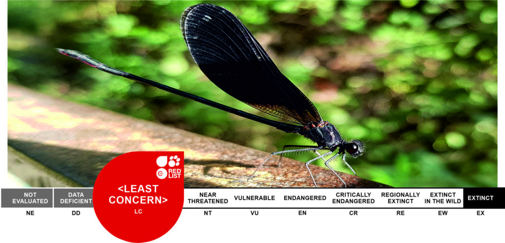 Comité Español UICN - Lista Roja Especies